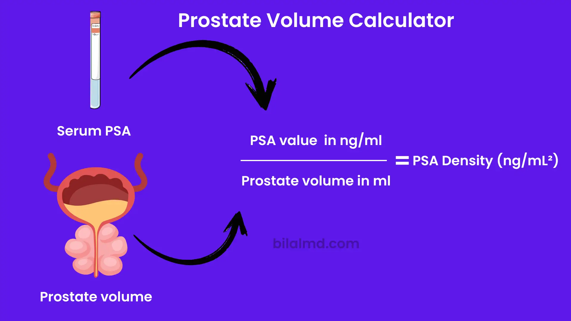 Prostate Volume Calculator: Fast Calculation of Prostate Volume - BilalMD
